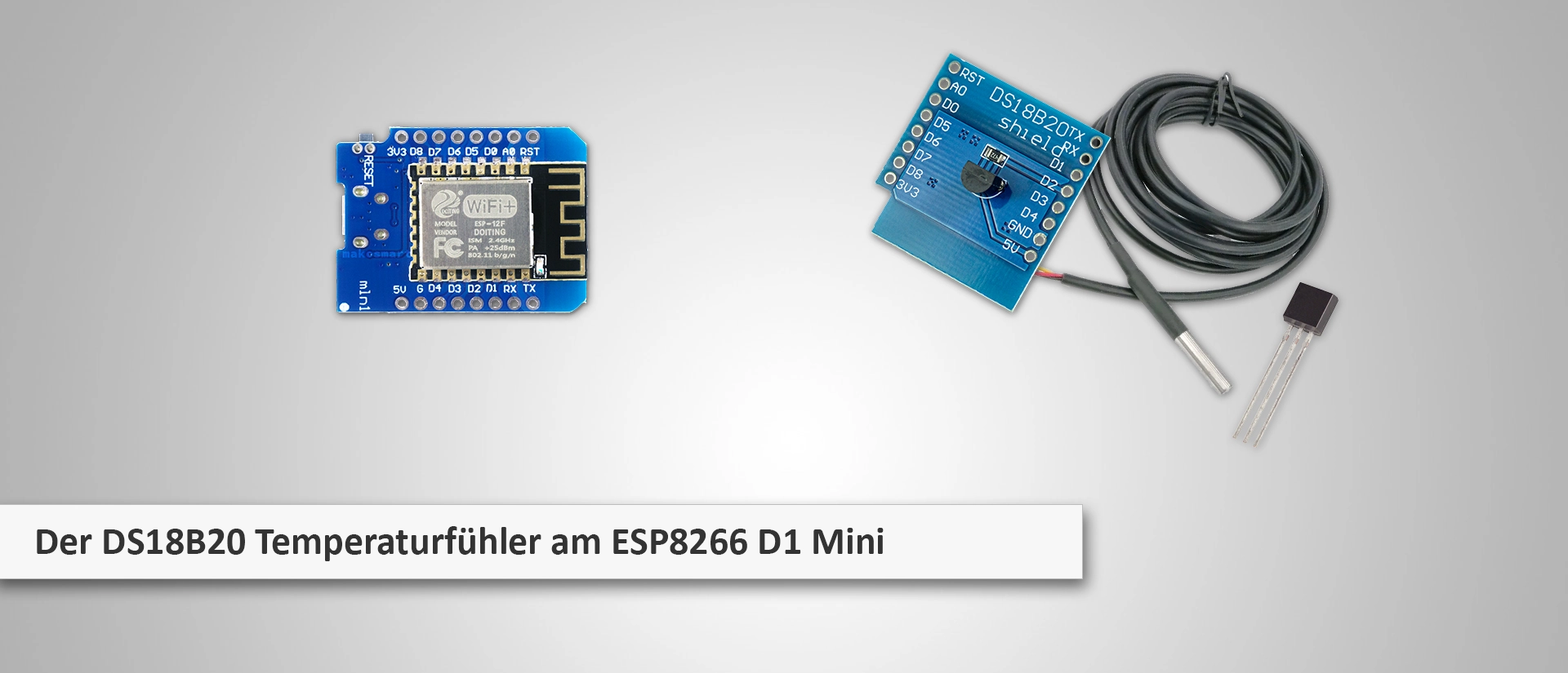 Der DS18B20 Temperatursensor am ESP8266 D1 Mini - Einfache Temperaturmessung